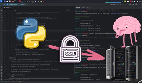 Denizhalil Cyber Security And Programmer Learner