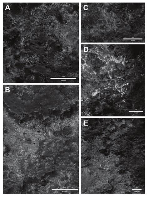 Overview Of Fractures At Different Scales Present Within The Proposed