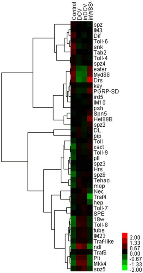 Hierarchical Cluster Analysis Of Dna Microarray Data Obtained From 45