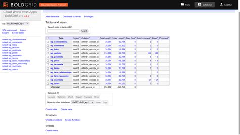 Using The Database File Manager On WordPress Playgrounds