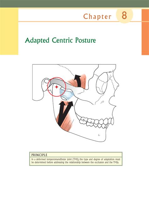24 2 Dawson Functional Occlusion From Tmj To Smile Design Adapted Centric Relation Chapter