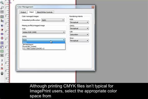 Imageprint Color Management Settings Youtube