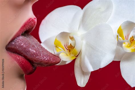 Sexy Tongue Erotic Concept Sexy Lips With A Ochid Oral Sex Erotic Woman Secret And Sex