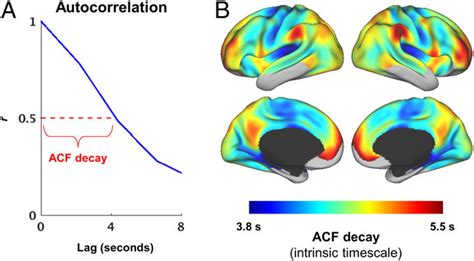 Hierarchy Of Intrinsic Timescales Revealed From Fmri Autocorrelation