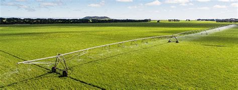 Articles About Linear Irrigation