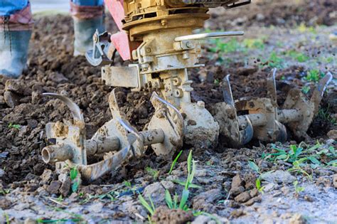 농부의 정원에서 농부는 모터 경운기를 사용하여 경운기 블록으로 땅을 갈아 엎고 있습니다 농부에 대한 스톡 사진 및 기타 이미지 농부 농업 농업 기계 Istock