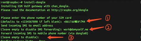 Use The Raspberry Pi To Build An Asterisk Service To Receive Calls