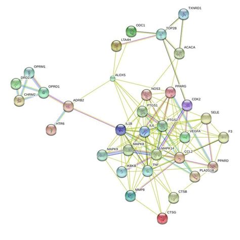 Protein Interaction Networks Based On Search Tool For The Retrieval Of
