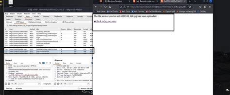 portswigger file upload vulnerabilities labs by syedamehak nov 2024 medium