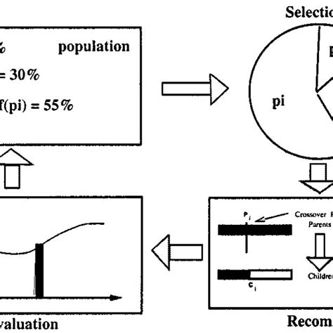 Three Basic Genetic Operations Download Scientific Diagram