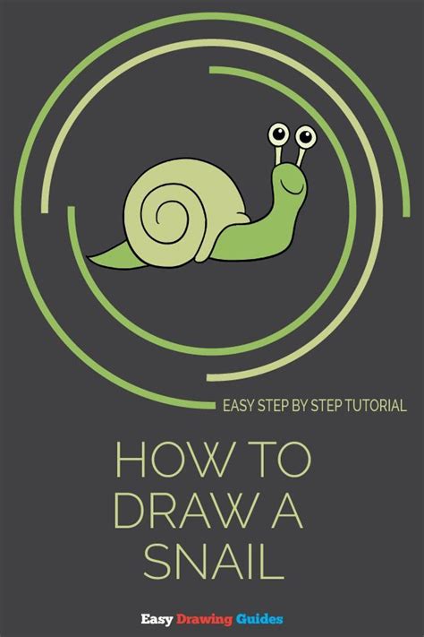 How To Draw A Snail Really Easy Drawing Tutoria Artofit