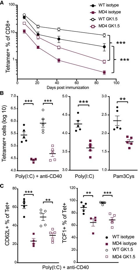 B Cells Promote Cd8 T Cell Primary And Memory Responses To Subunit