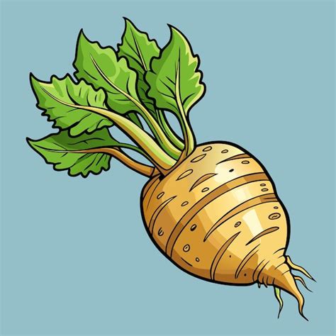 Realistic Fresh Burdock Root Vegetable Illustration Premium Ai