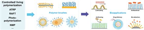 Driving Polymer Brushes From Synthesis To Functioning Wang 2023 Angewandte Chemie