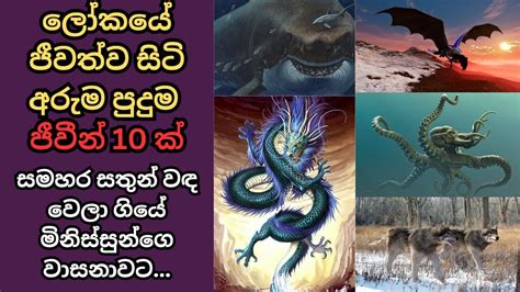ලෝකයෙන් වඳ වී ගොස් ඇති ජීවීන් 10ක් සමහරු වඳ උනේ මිනිස්සුන්ගෙ වාසනාවට Youtube