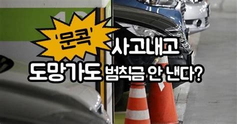 카드뉴스 문콕 사고내고 도망가도 범칙금 안 낸다