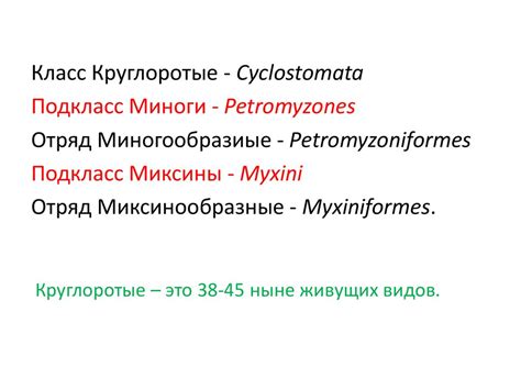 Класс круглоротые - презентация онлайн