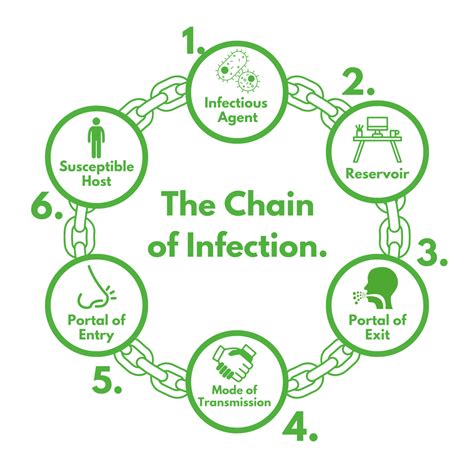 How To Break The Chain Of Infection