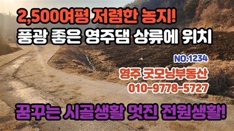 언제나 누구나 꿈꾸는 시골생활 멋진 전원생활 귀농 추천 영주부동산 Youtube