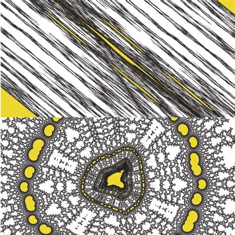 Comparison Of Identity Transformation And Optimal Skew Transformation Download Scientific Diagram