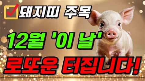 돼지띠 주목 2024년 12월 돼지띠 운명이 바뀝니다 돼지띠를 위한 충격적인 운세 2024년 돼지띠 운세 47년생 59년생 71년생 83년생 95년생 돼지띠운세 재물운