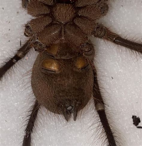 Clorox Inhalant U Clorox Inhalant Reddit