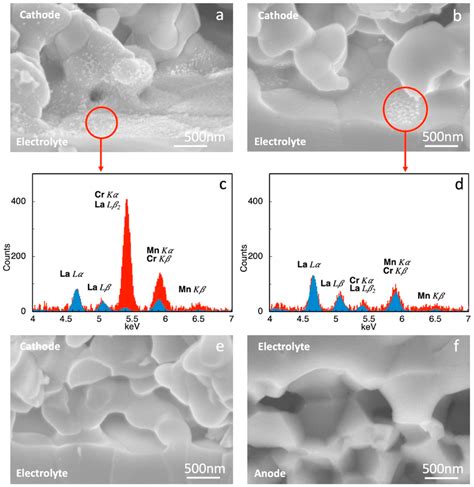 A Sem Micrograph Of The Cathodeelectrolyte Interface Of Cell 1 After Download Scientific