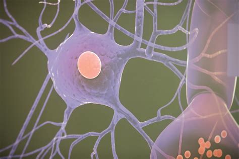 Computational Neuromodulation Laboratory Brown Neurosurgery