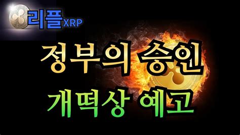 리플 Xrp 정부의 승인 개떡상 갑니다 Youtube