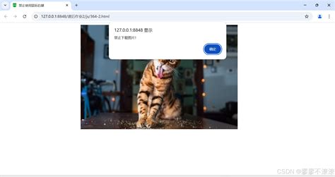 第10章 Javascript的应用作业 Csdn博客