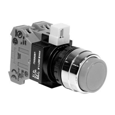 IDEC Corporation HW B M F G Pushbutton HW Series Metal Bezel Extended Non Illum NO NC