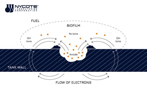 What Is Microbiologically Influenced Corrosion Mic