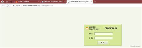 [第五空间 2021]webftp csdn博客