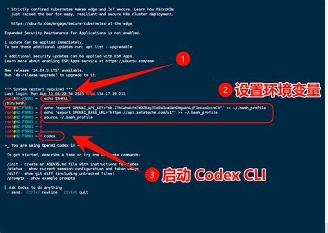 Codex Cli🔥 Openai开发的开源编码代理 Zetatechs Docs