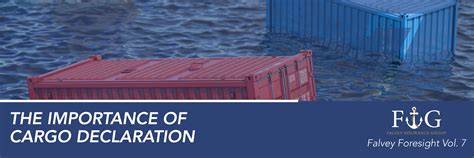 Falvey Foresight V7 The Importance Of Cargo Declaration