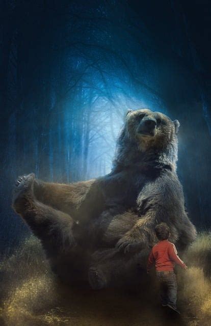 Urso Garoto Floresta Imagens Gr Tis No Pixabay Pixabay