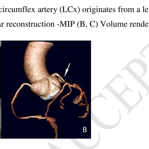 A Maximum Intensity Projection Mip And B3d Volume Rendering Show Download Scientific