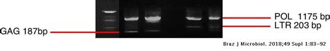 Duplex Nested Pcr For Detection Of Small Ruminant Lentiviruses