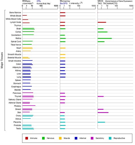 Cxxc4 Gene Genecards Cxxc4 Protein Cxxc4 Antibody
