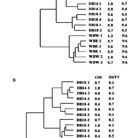 Cluster Analysis Of Overall Gene Expression Patterns From Wild And