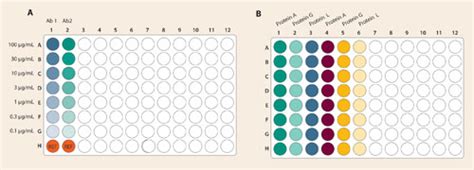 Rapid Evaluation Of Biosensor Chemistries