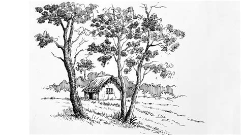 Tree Drawing With Pen YouTube