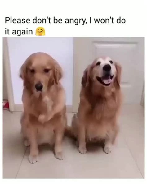 Patrick Cheng Pat Chin On Linkedin Under Such A Mutually Inclusive Mentality And Rational