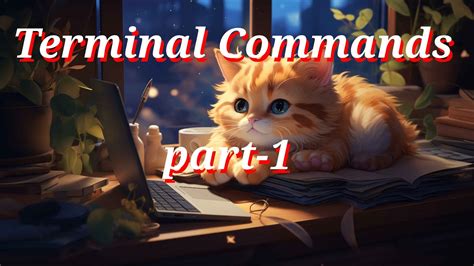 linux command tutorial part 1 terminal commands learning linux