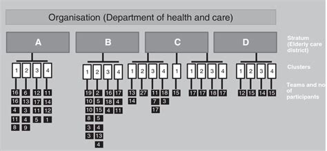 Illustration Of The Cluster Randomization Strata Were Formed By Each