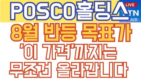 포스코홀딩스 Posco홀딩스 주가 전망 8월 반등 목표가 이 가격까지는 무조건 올라갑니다 Youtube
