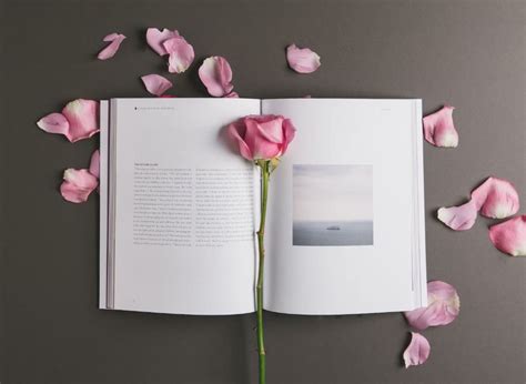 Advantages Of Choosing Cremation Services For Your Needs