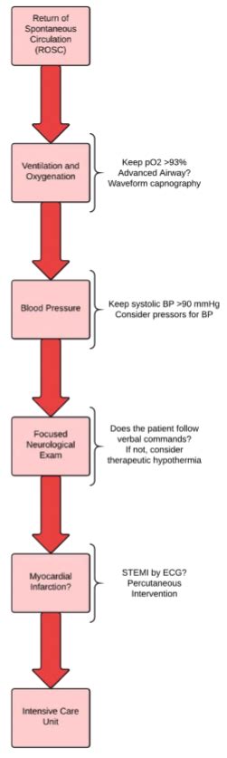 Return Of Spontaneous Circulation Rosc And Post Arrest Care