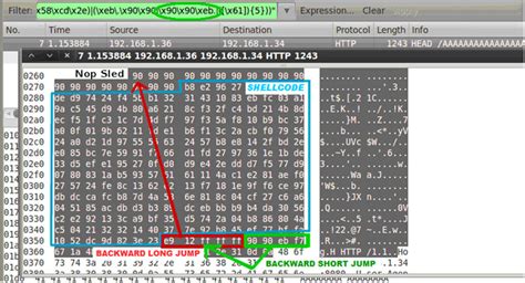 Buscando Buffer Overflow Desde Wireshark Security Art Work