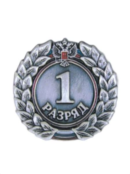 Значок Спортивный, 1-й разряд купить на OZON по низкой цене (1678757332)